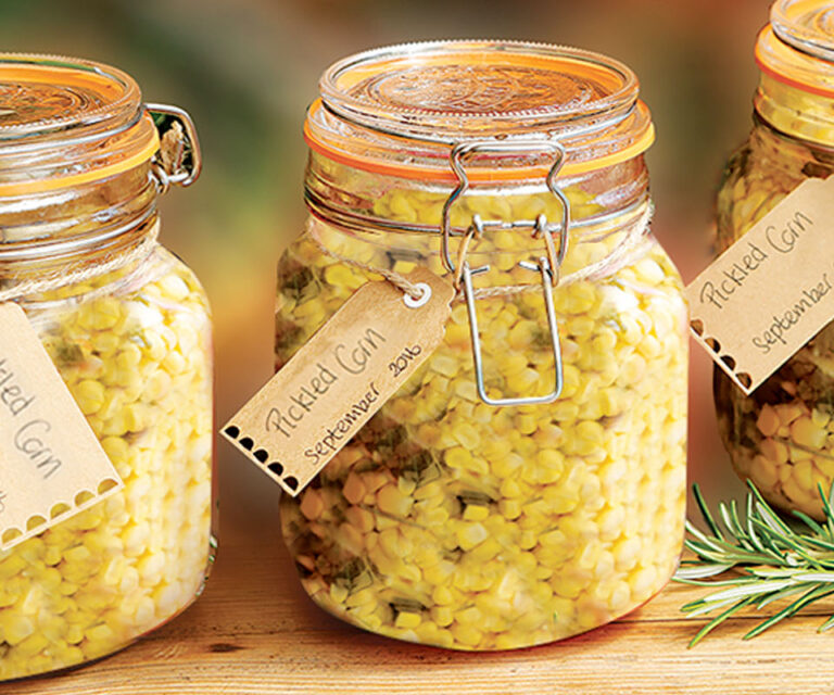 Pickled Gherkins By The Hip Hop Chip Shop - Sarson's